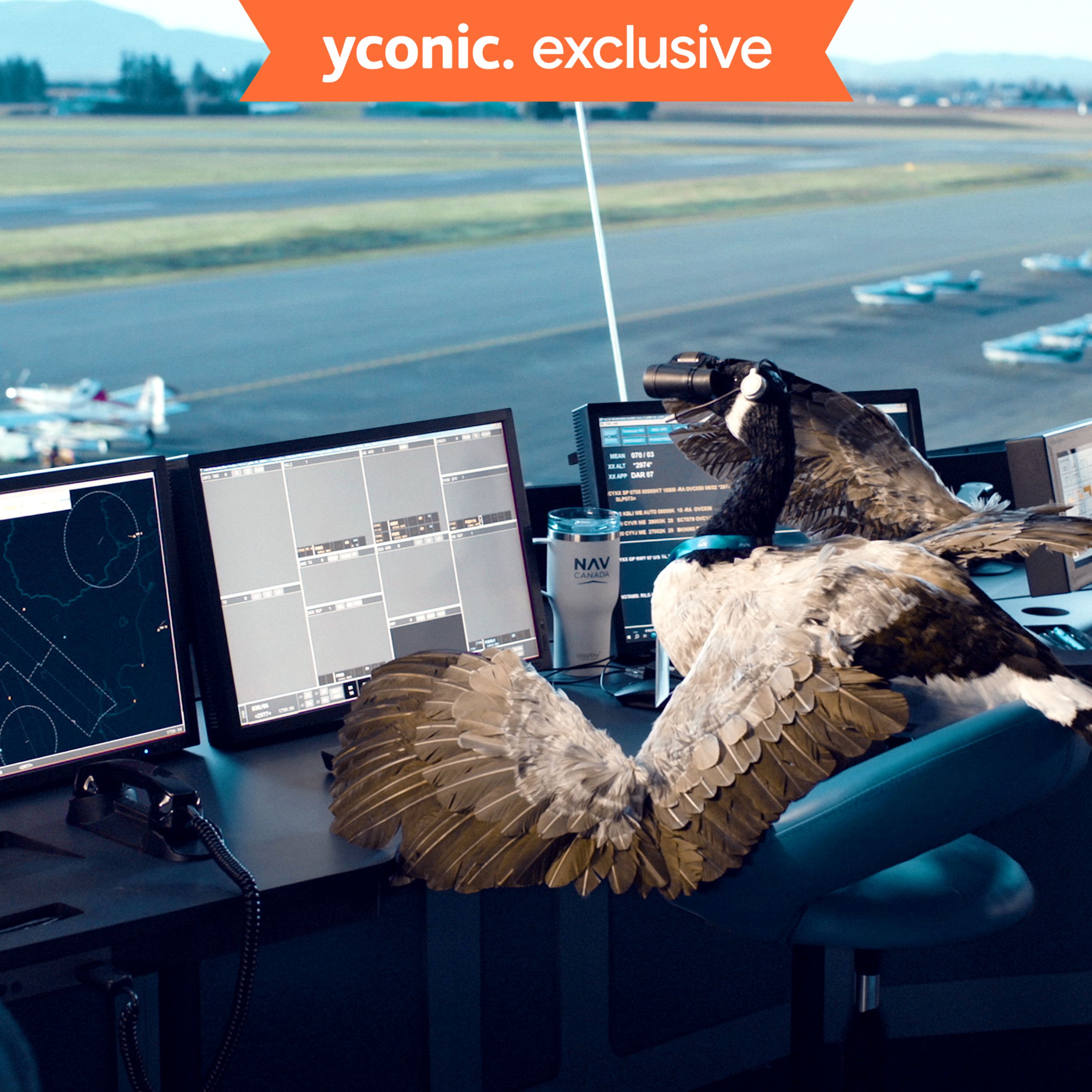 Yconic | NAV CANADA $5,000 Runway to Success Award